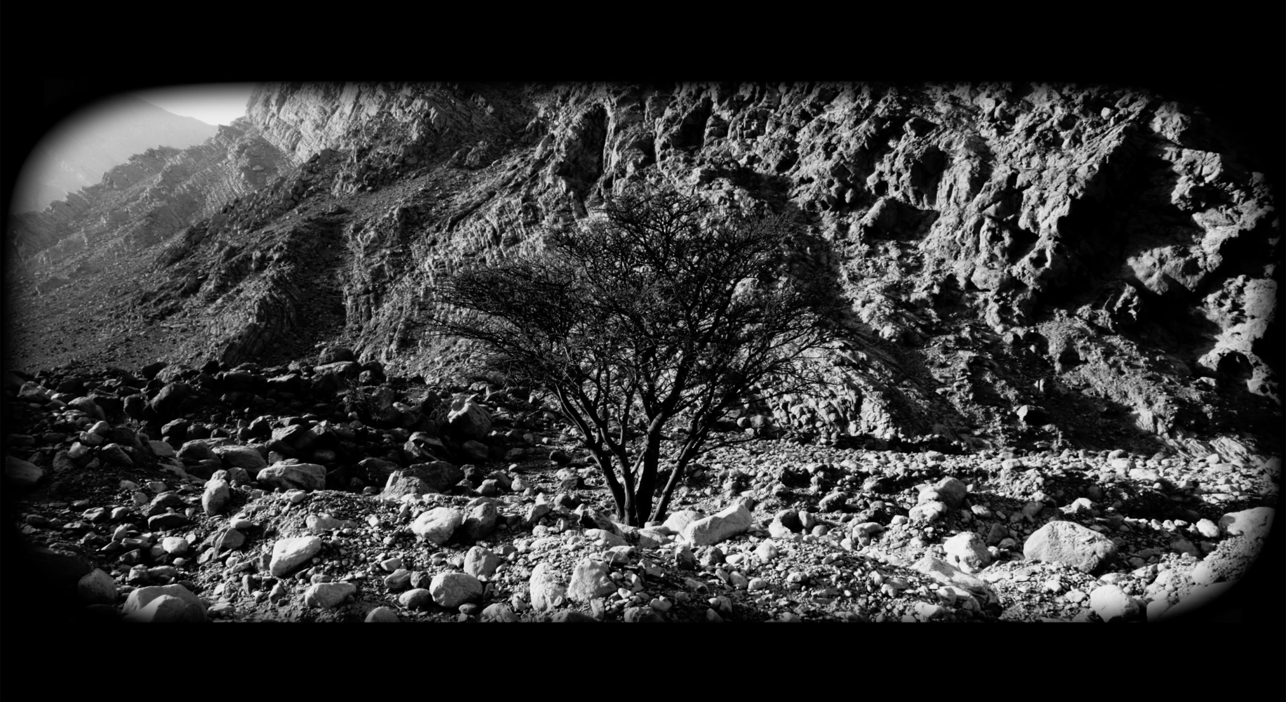 Rocks in a Windless Wadi – Films – Visions du Réel