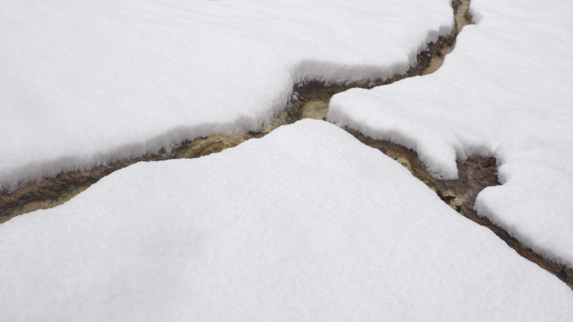 Disturbed Earth – Films – Visions du Réel