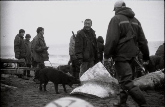 Koka – Films – Visions du Réel