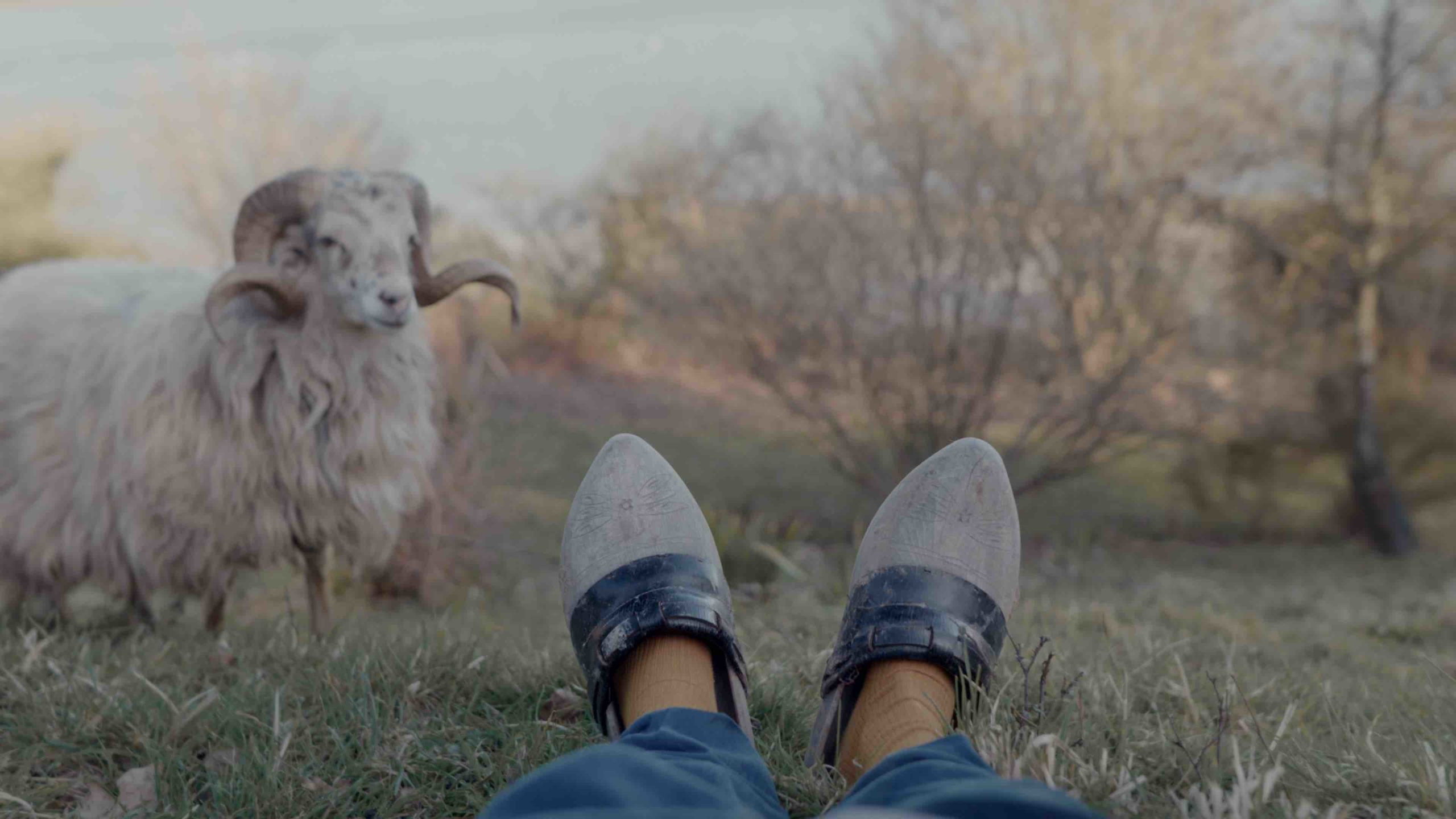 Preparations for a Miracle – Films – Visions du Réel